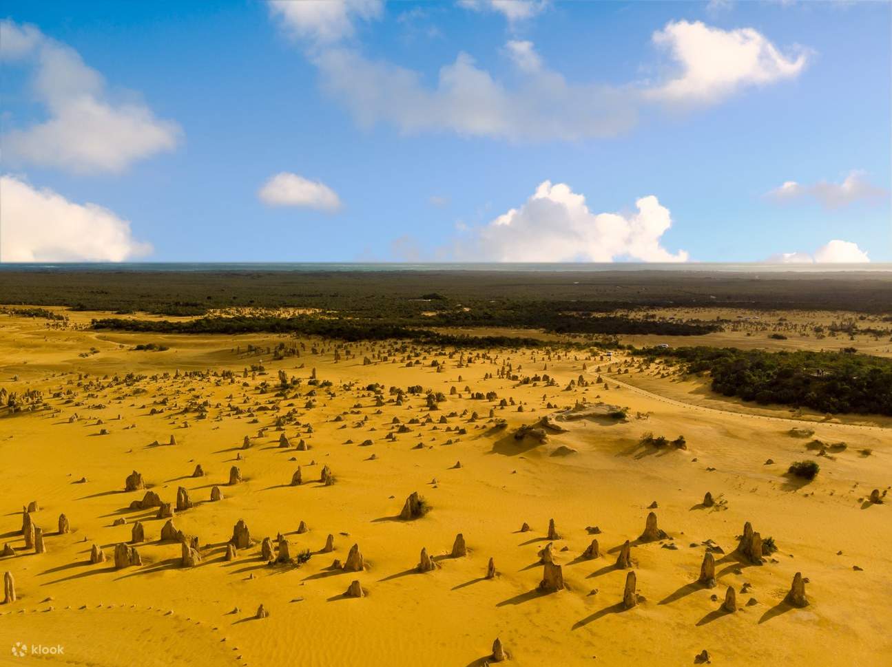 Pinnacle Desert Explorer mit Lancelin Sandboarding Ganztagestour ...
