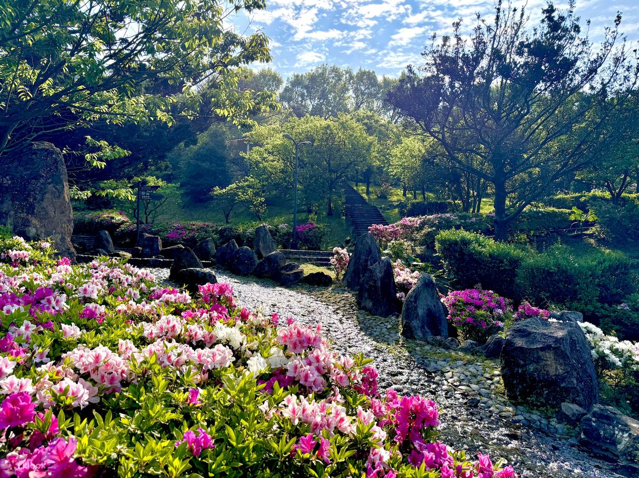 Yangmingshan & Beitou Day Tour (Depart from Ximending) - Klook United ...