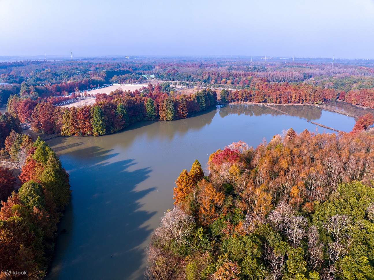 Shanghai Haiwan National Forest Park - Klook New Zealand