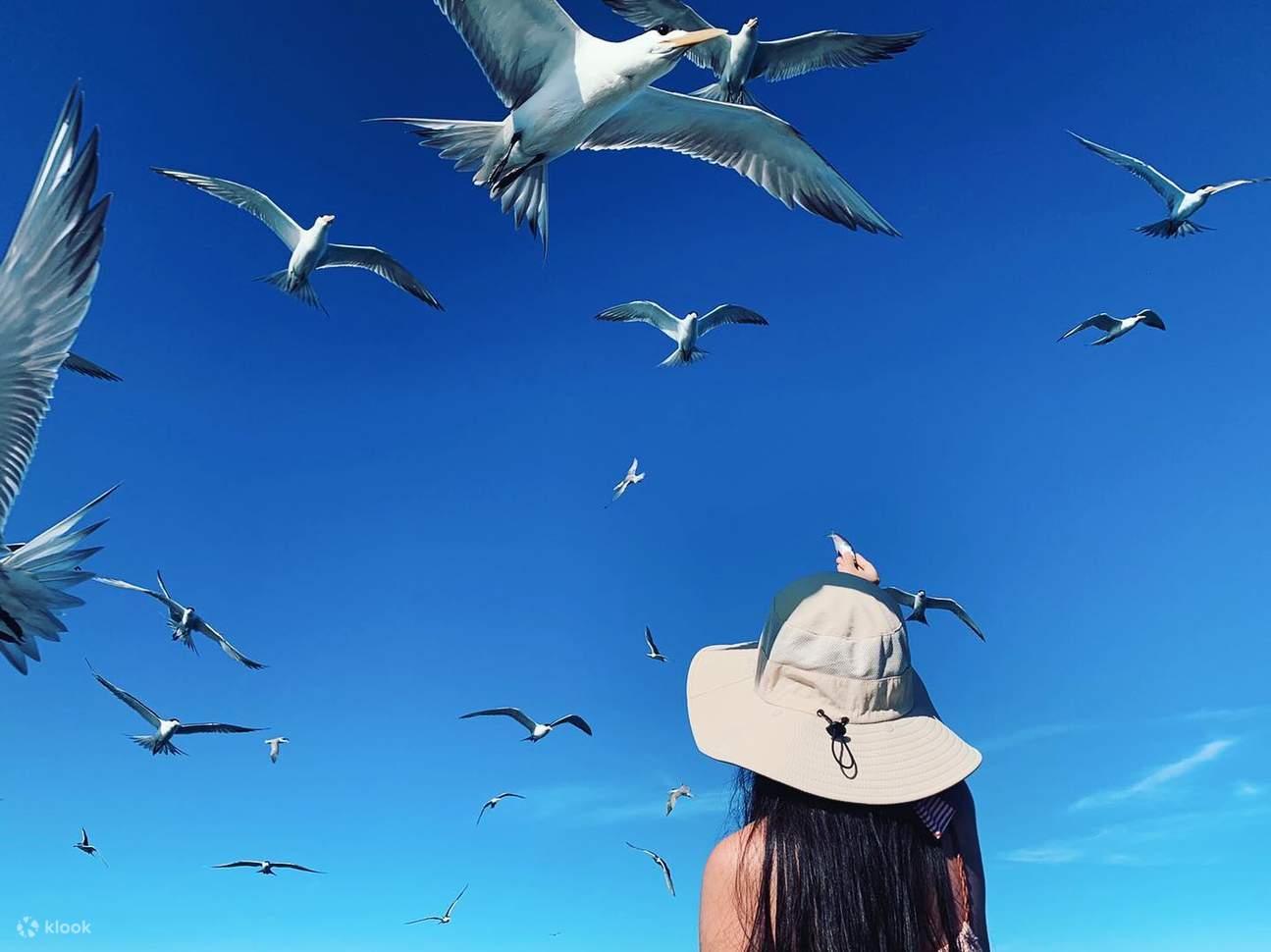 Penghu: One-day trip to Lobster Island in the East China Sea - Peng ...