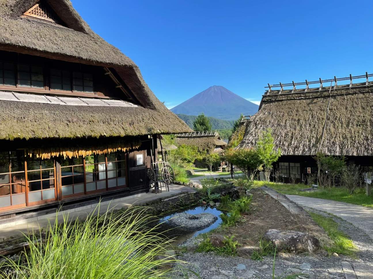Muslim Friendly Mt. Fuji Day Tour with Halal Lunch & Prayer Time ...