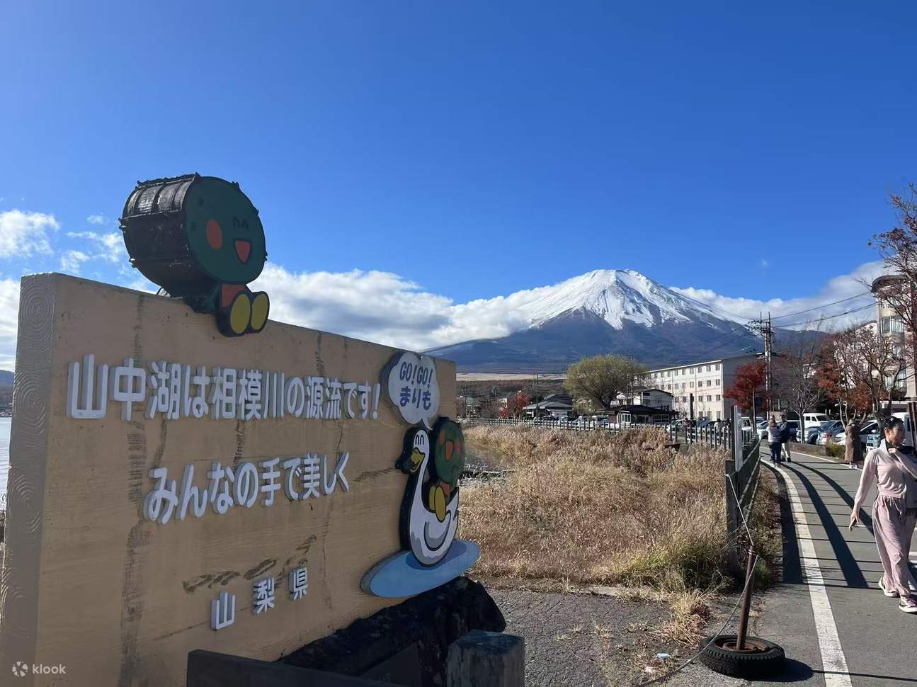 Two-Day Tour, Tokyo Car Rental with Driver - Klook Canada