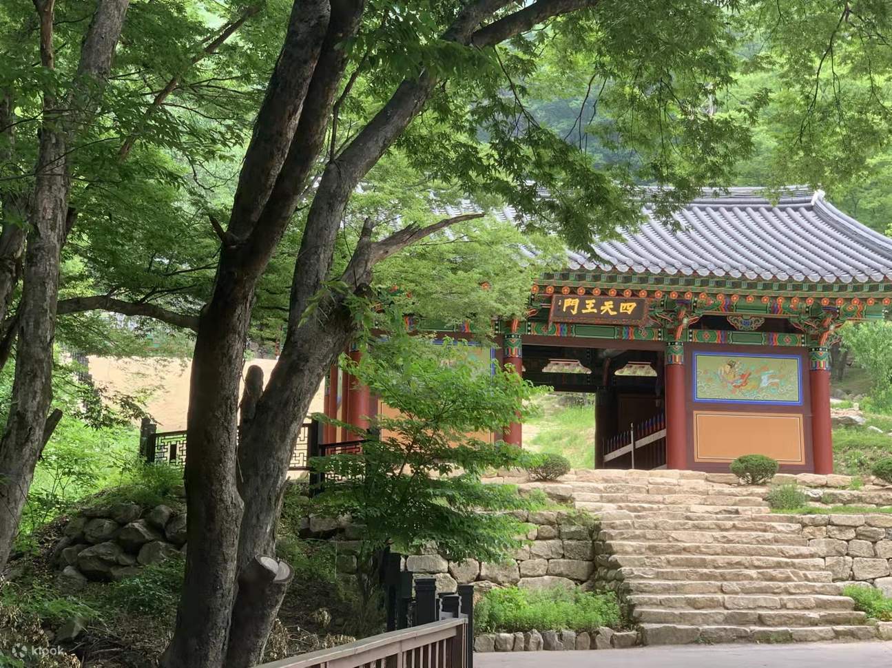 Yangpyeong Cherry blossom & Yongmun Temple & Paragliding Tour - Klook ...