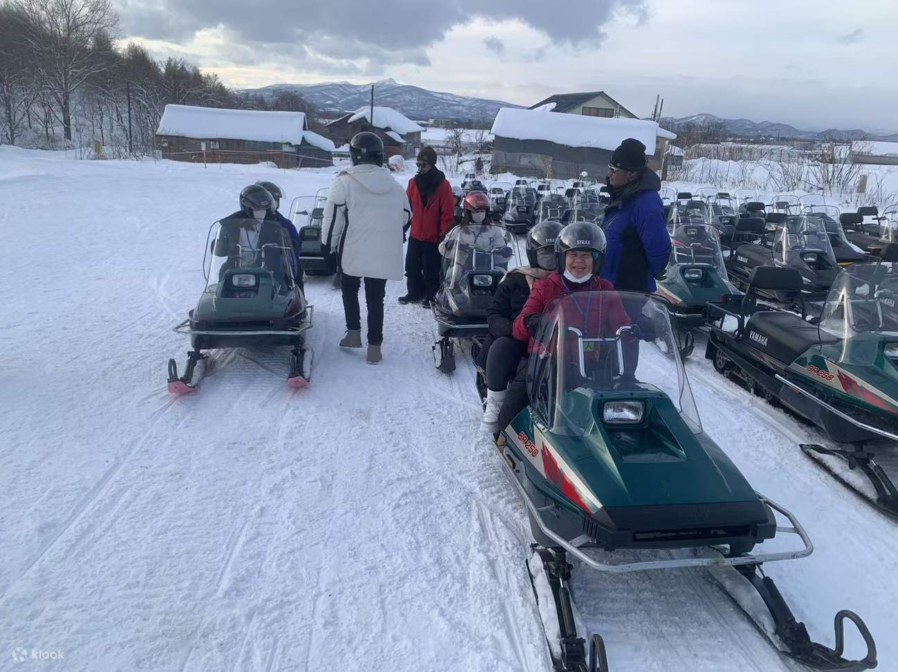 Toya Snowmobile Experience & Toya Bear Farm & Internet Celebrity Farm ...