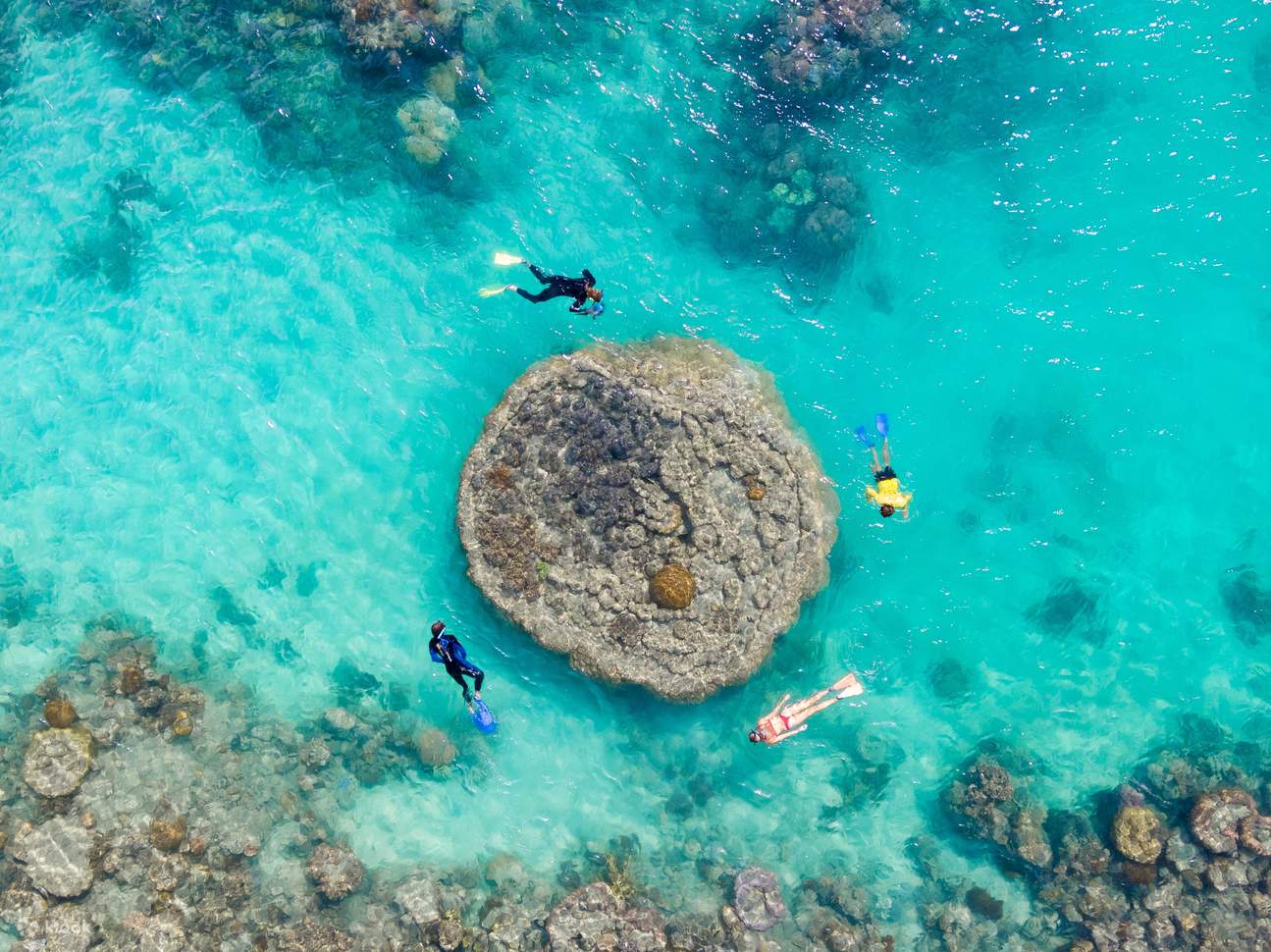 Rafting Tours to Whitehaven Beach from Airlie Beach - Klook Australia
