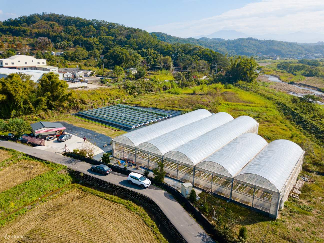 Miaoli : expérience de cueillette de fraises à la ferme Jixuan - Klook ...
