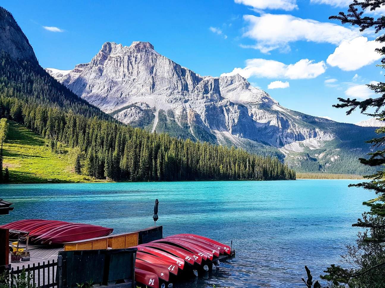 Mystic Trails of Yoho & Kootenay Day Tour in Banff - Klook