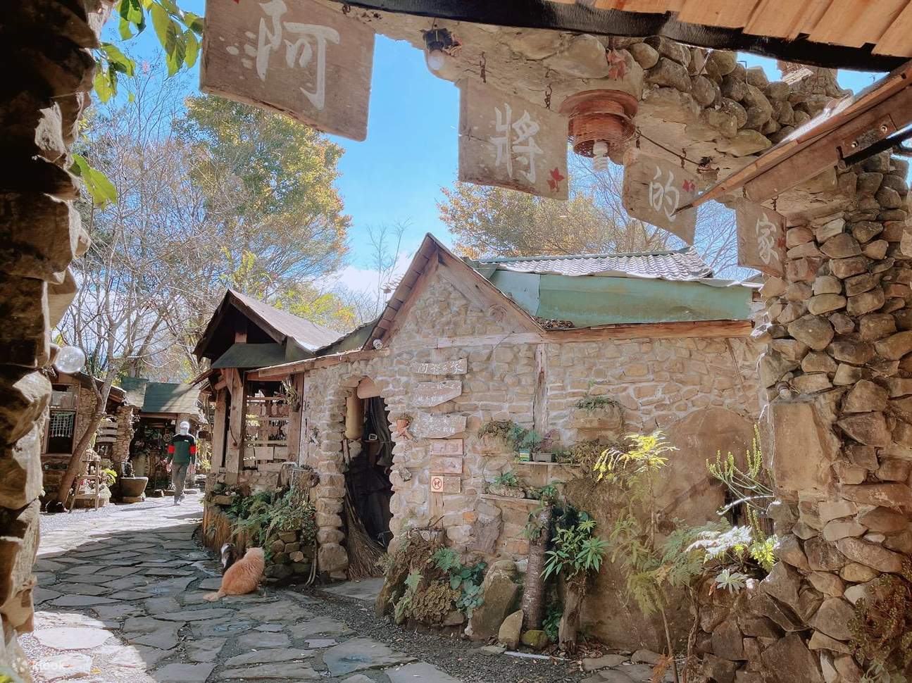D'enya Village/A-Chiang's Home/Er Yan Ping Trail/Alishan Fenqihu Old ...