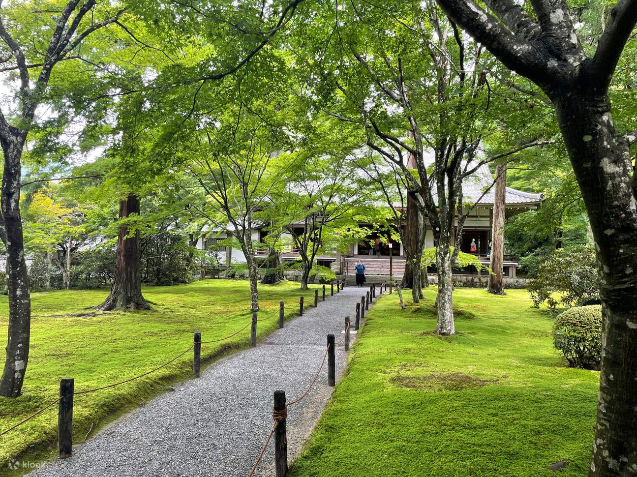 Rural Kyoto: a peaceful 1-day tour of a tranquil landscape in Ohara ...