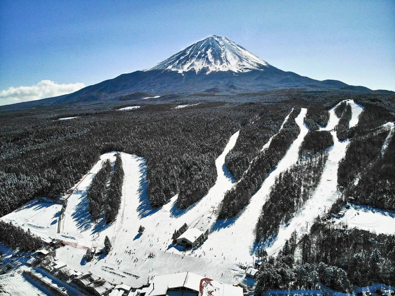 With Mt. Fuji View: Snow Fun at Fujiten & Oishi Park Sightseeing Tou ...
