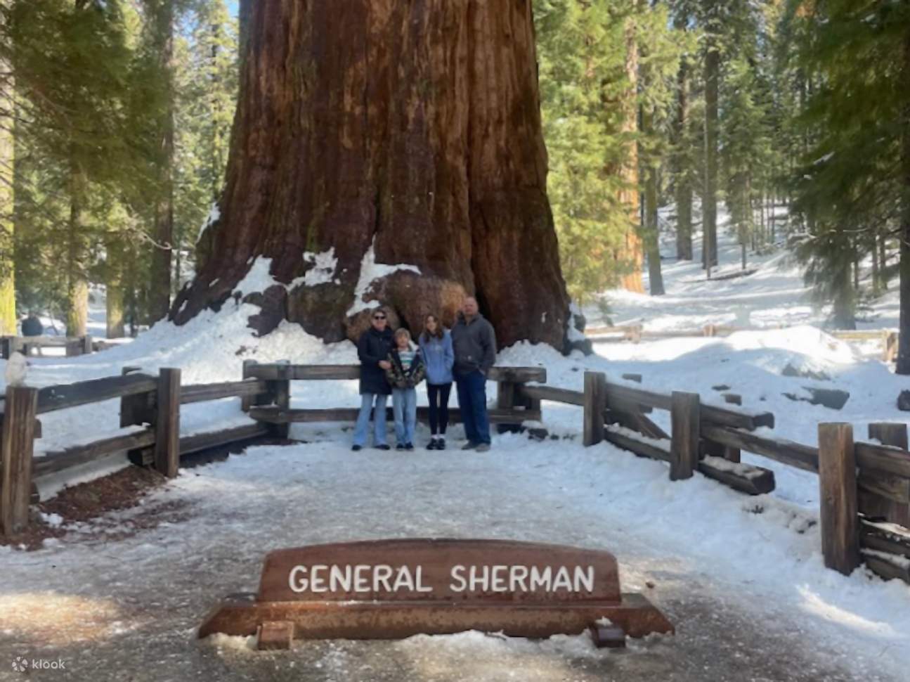 Semi Private Sequoia National Park Hiking Tour - Klook Australia