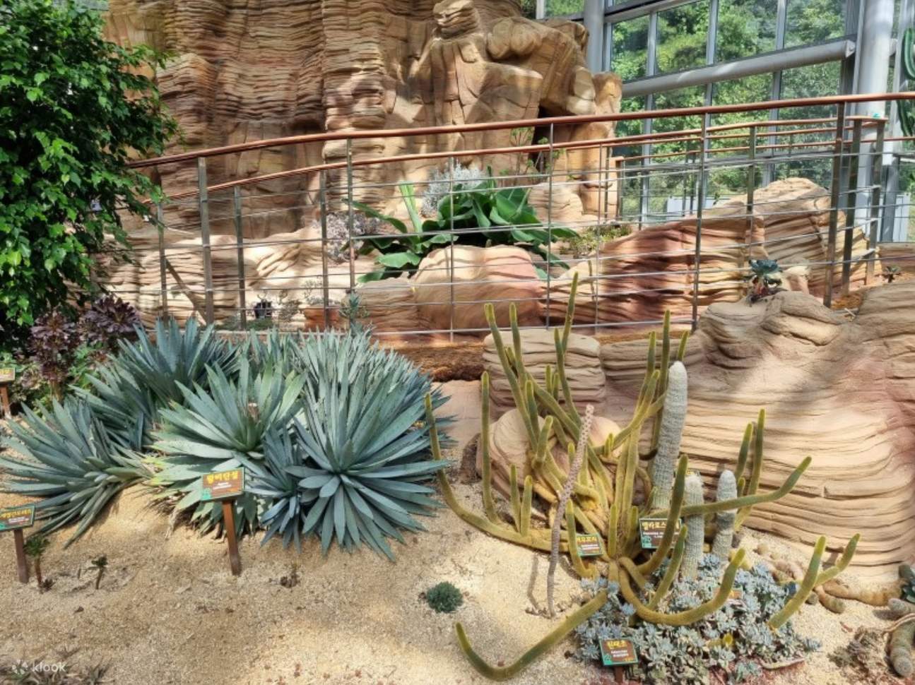 Gimcheon Traditional Temple & Hanbok Experience & Foot Bath Day Tour ...