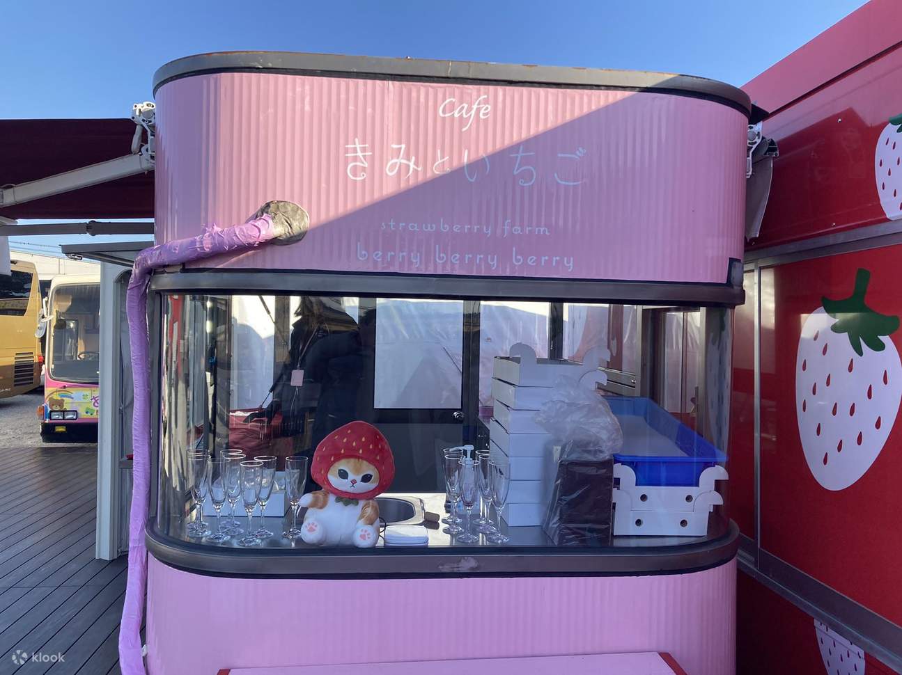 Japan's most beautiful view [Hitachi Seaside Park's butterfly blossoms ...