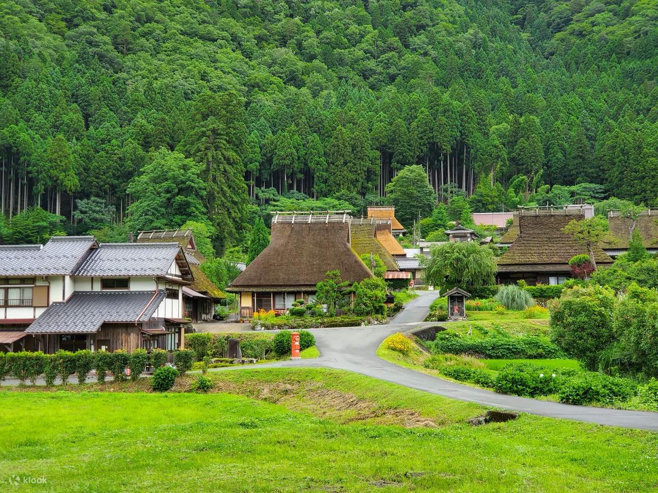 Osaka and Surrounding Areas Private Car Charter：Kyoto/ Nara - Klook