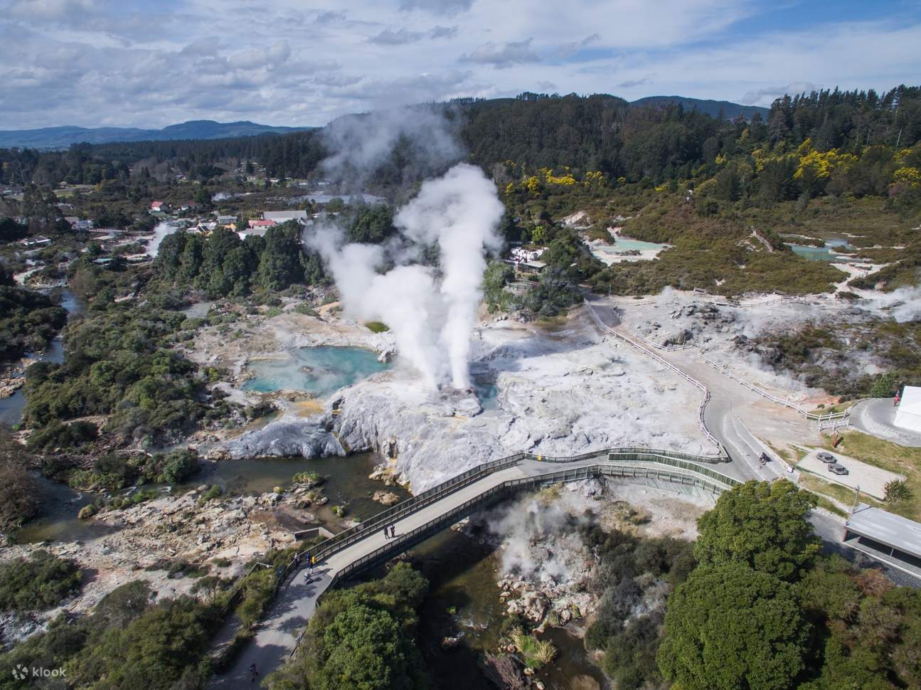 Waitomo and Rotorua Day Tour from Auckland with Te Puia - Klook
