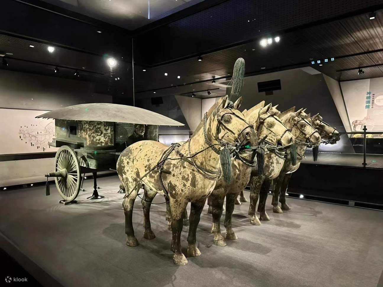 Jednodniowa wycieczka do Xi’an w Shaanxi: Muzeum Terakotowej Armii ...