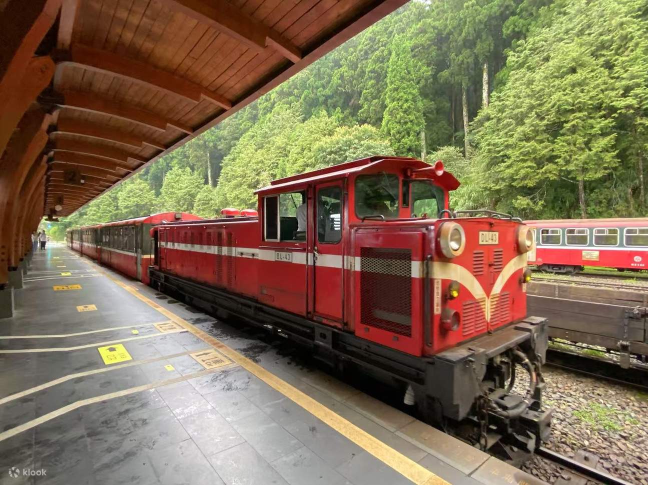 Alishan Day Tour (Eternal Bridge & National Forest Recreation Area ...