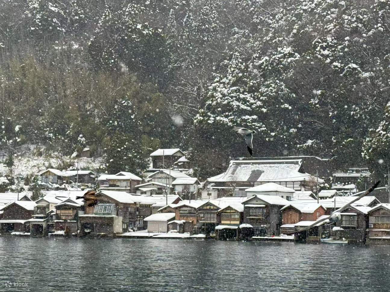 Osaka Private Car Charter to Kyoto/Nara/Kobe - Klook