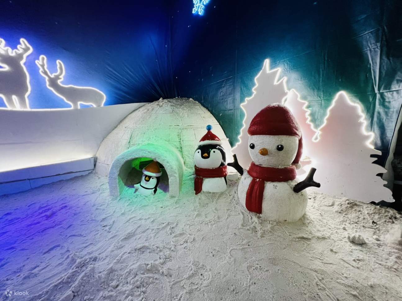 新竹小叮噹科學主題樂園滑雪課程（含門票） - Klook 客路