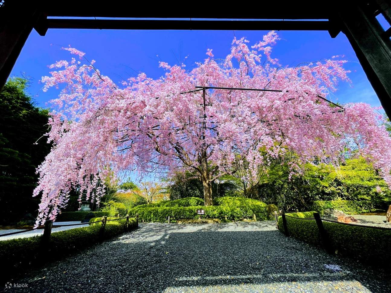 Taizoin Religious Corporation Admission Ticket (Kyoto) - Klook