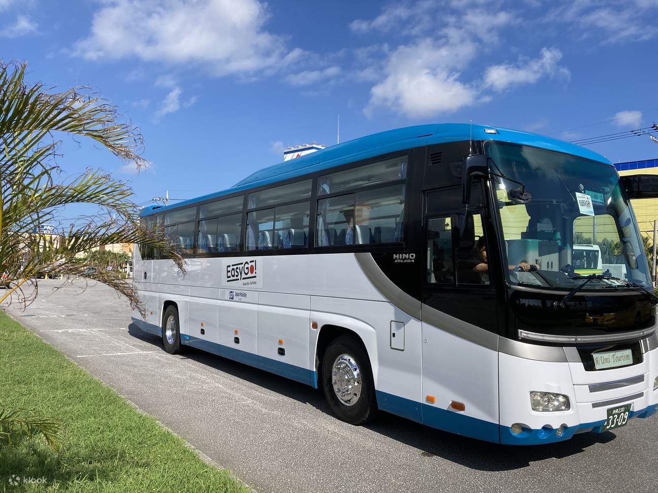 Okinawa Churaumi Aquarium, American Village & Cape Manza Trip - Klook ...