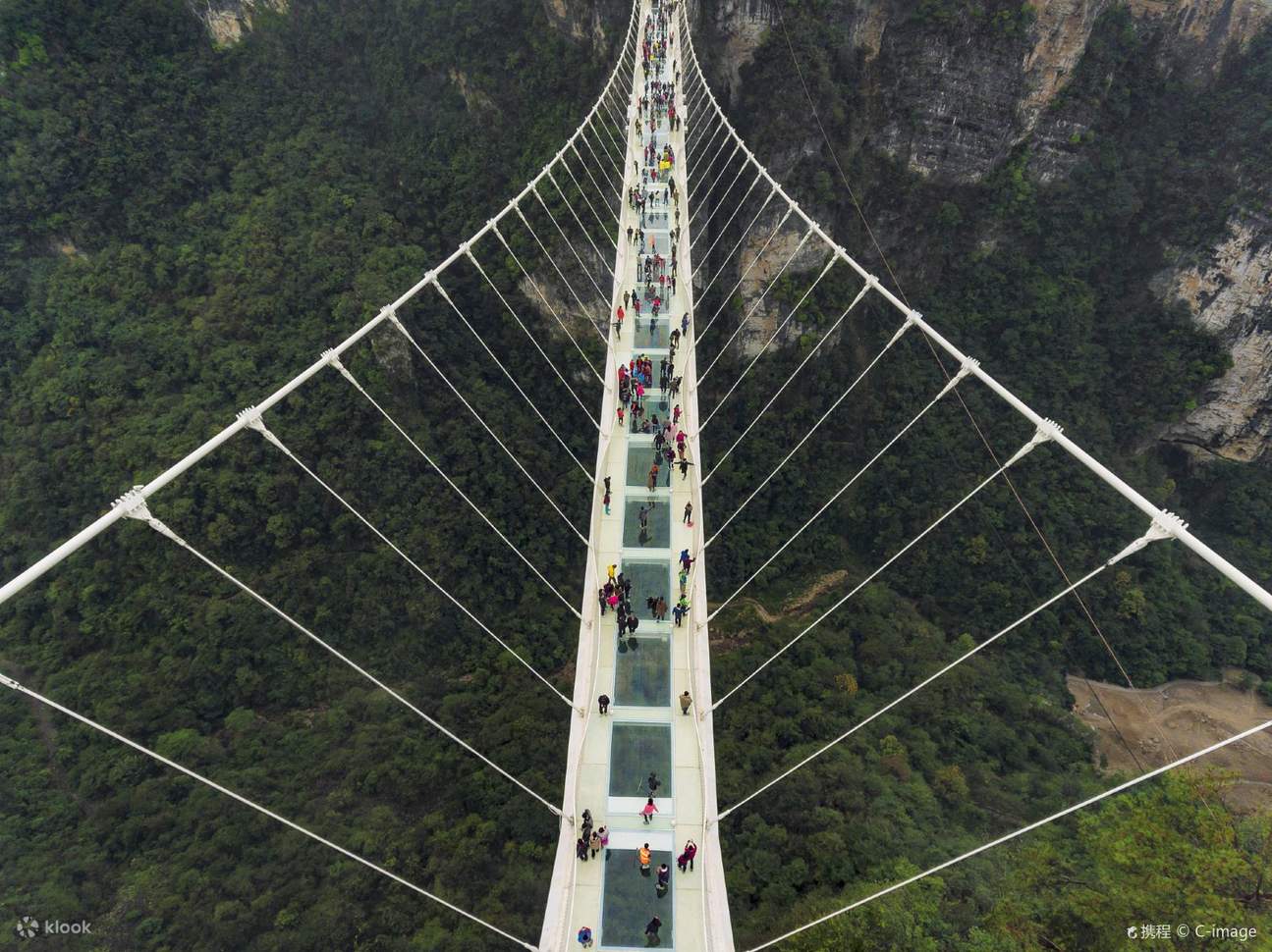 National Forest Park + Grand Canyon Glass Bridge 2 Days 1 Night - Klook ...
