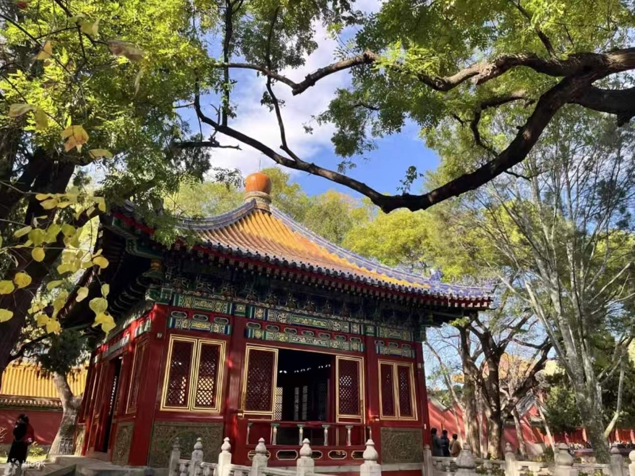 Four-day Beijing Treasure Tour (Forbidden City + Prince Gong's Mansion + Shichahai + Badaling ...