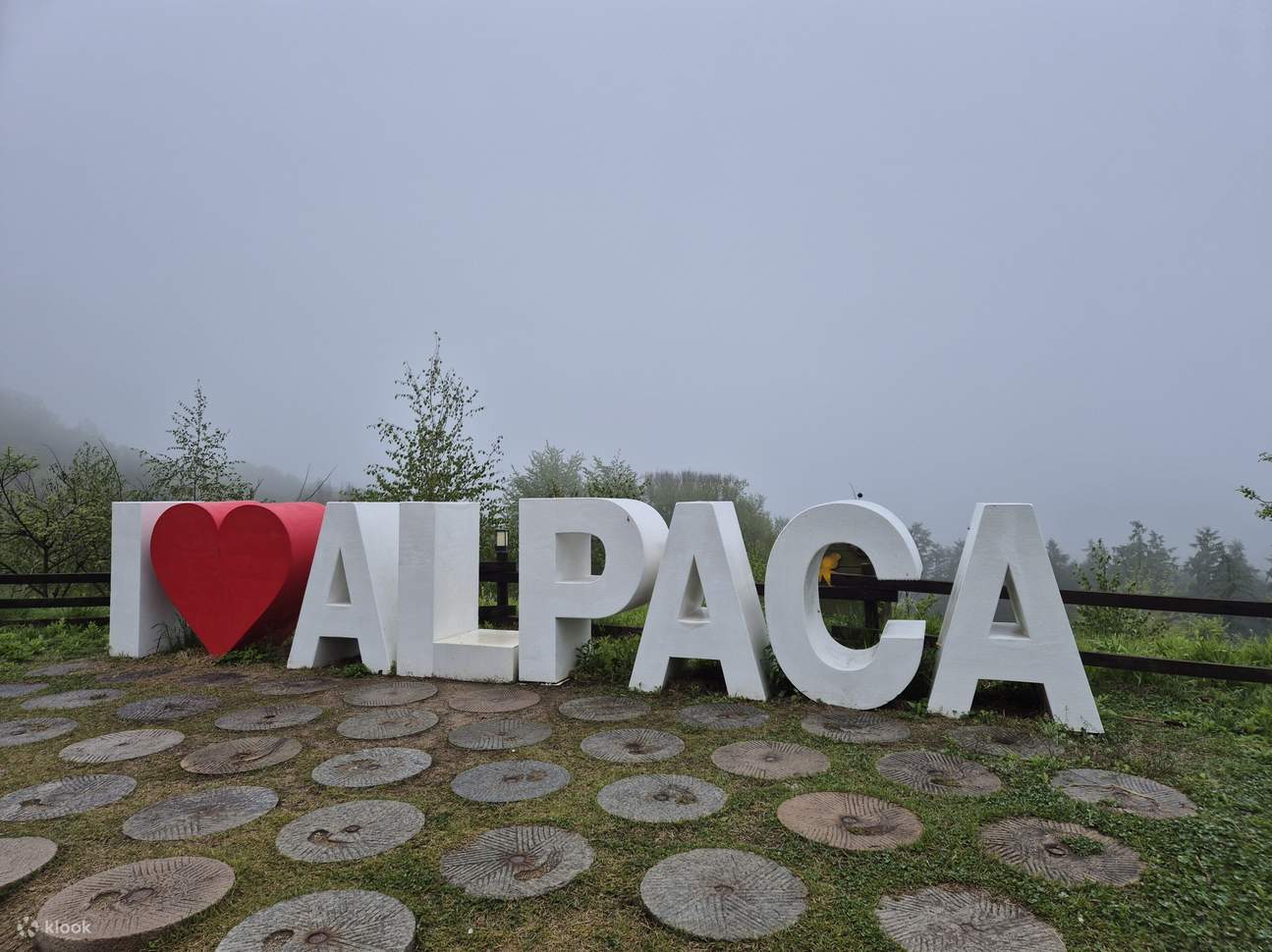 Healing and Thrill Tour | Alpaca World and Sogeumsan Grand Valley ...
