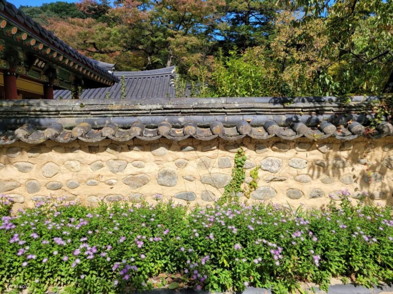 Gimcheon Traditional Temple & Hanbok Experience & Foot Bath Day Tour ...