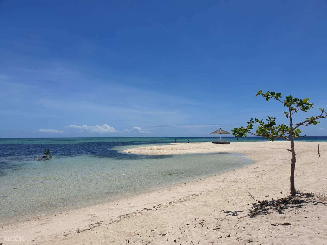 Up to 15% Off | Hilutungan, Nalusuan and Pandanon Island Hopping Tour ...