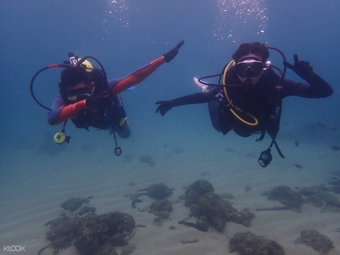 Snorkeling and Scuba Diving Experience in Penghu
