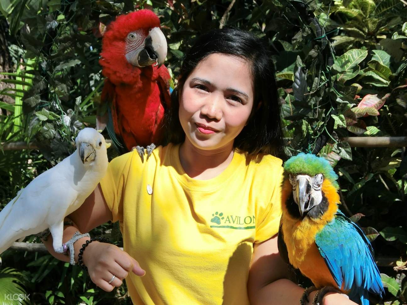 Up to 25% Off | Avilon Zoo Ticket in Rizal - Klook Philippines