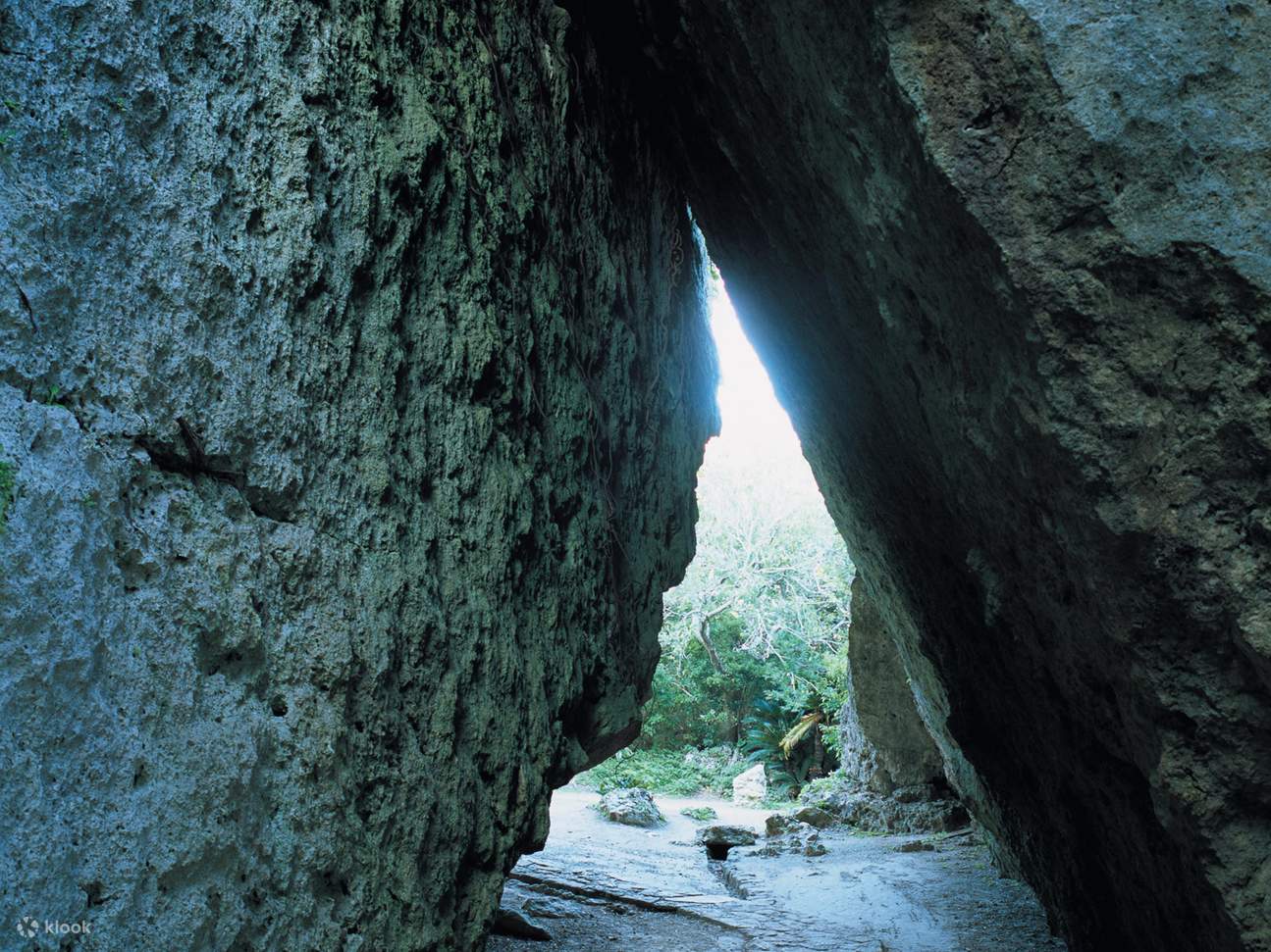 Southern Okinawa Sightseeing / Half-Day Bus Tour - Klook United States