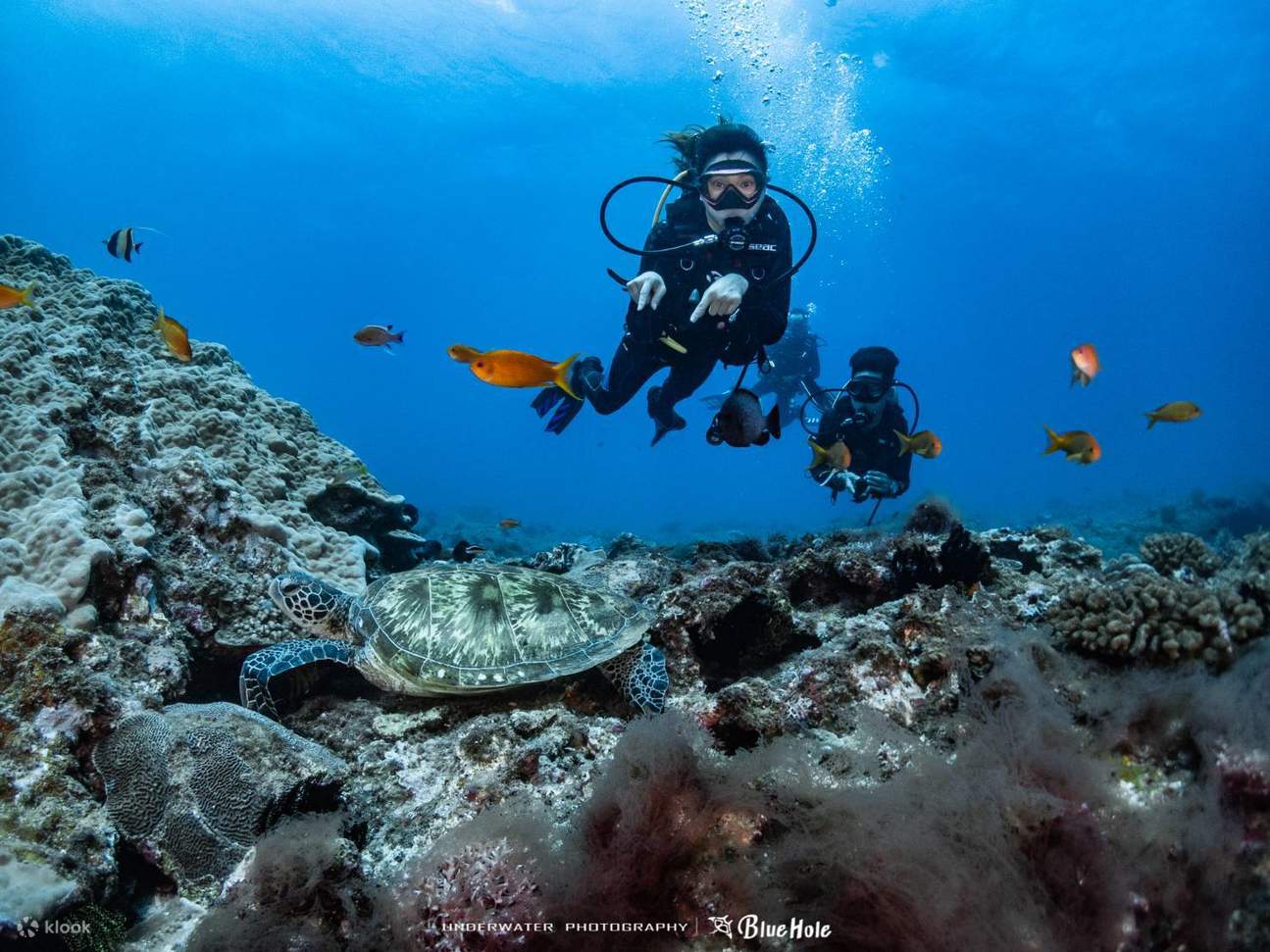 Pingtung Kenting Blue Hole Diving Experience Diving・PADI OW Beginner ...
