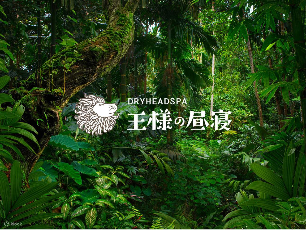 Tokyo Dry Head Spa King's Nap Shinjuku West Exit Branch - Klook Singapore