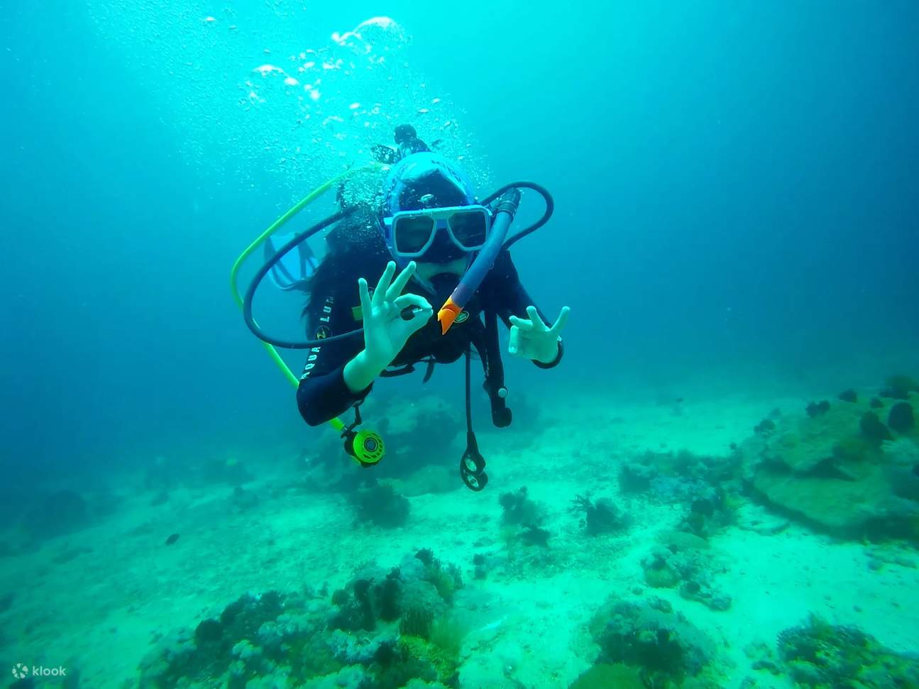 Experience Open Water Diver in Mindoro with PADI 5 Star Dive Resort - Klook