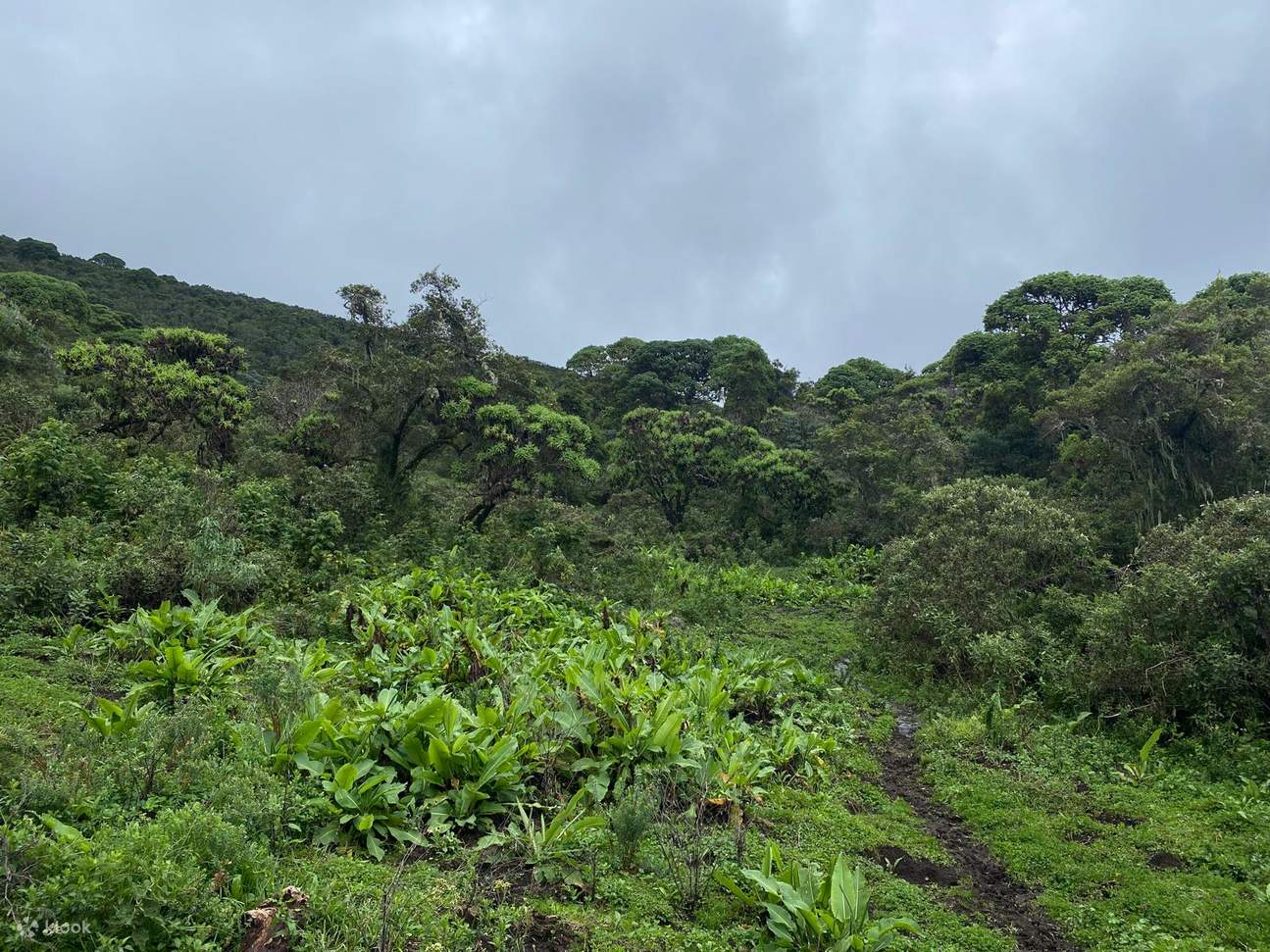 Discover Nature's Magic: One-Day Hike to the Enchanting Seven Ponds of ...