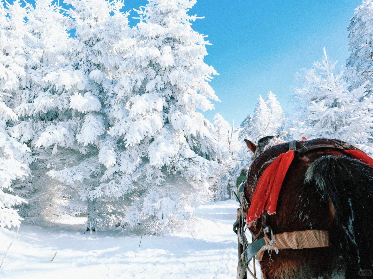 Northeast Changbai Mountain Xianfeng Snow Ridge Scenic Area (optional ...