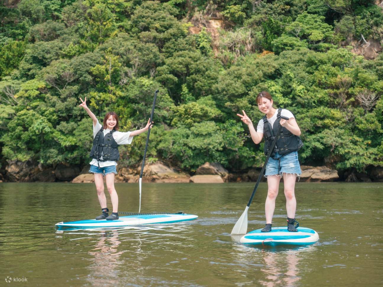 Iriomote Island Barasu Island Snorkeling & Mangrove SUP or Canoe 1-Day ...