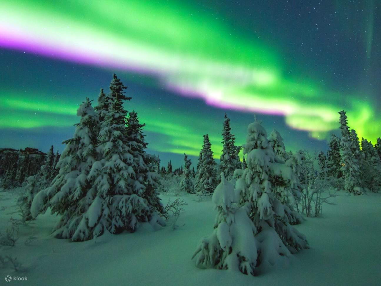 Fairbanks Aurora-Viewing Tour in Alaska - Klook United States