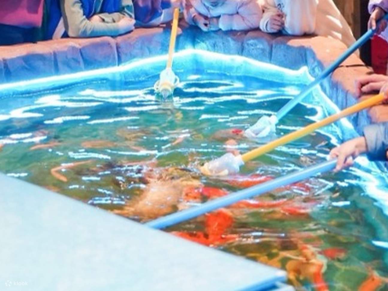 Shenzhen WOWO cute pet paradise (Baoan Daqianli store) - Klook Hong Kong