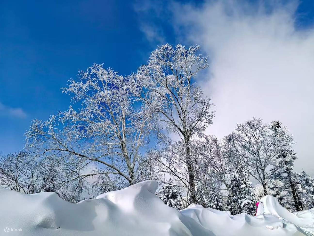 6-Day Secret Northeast Yanji Changbai Mountain Tour (Devil World ...