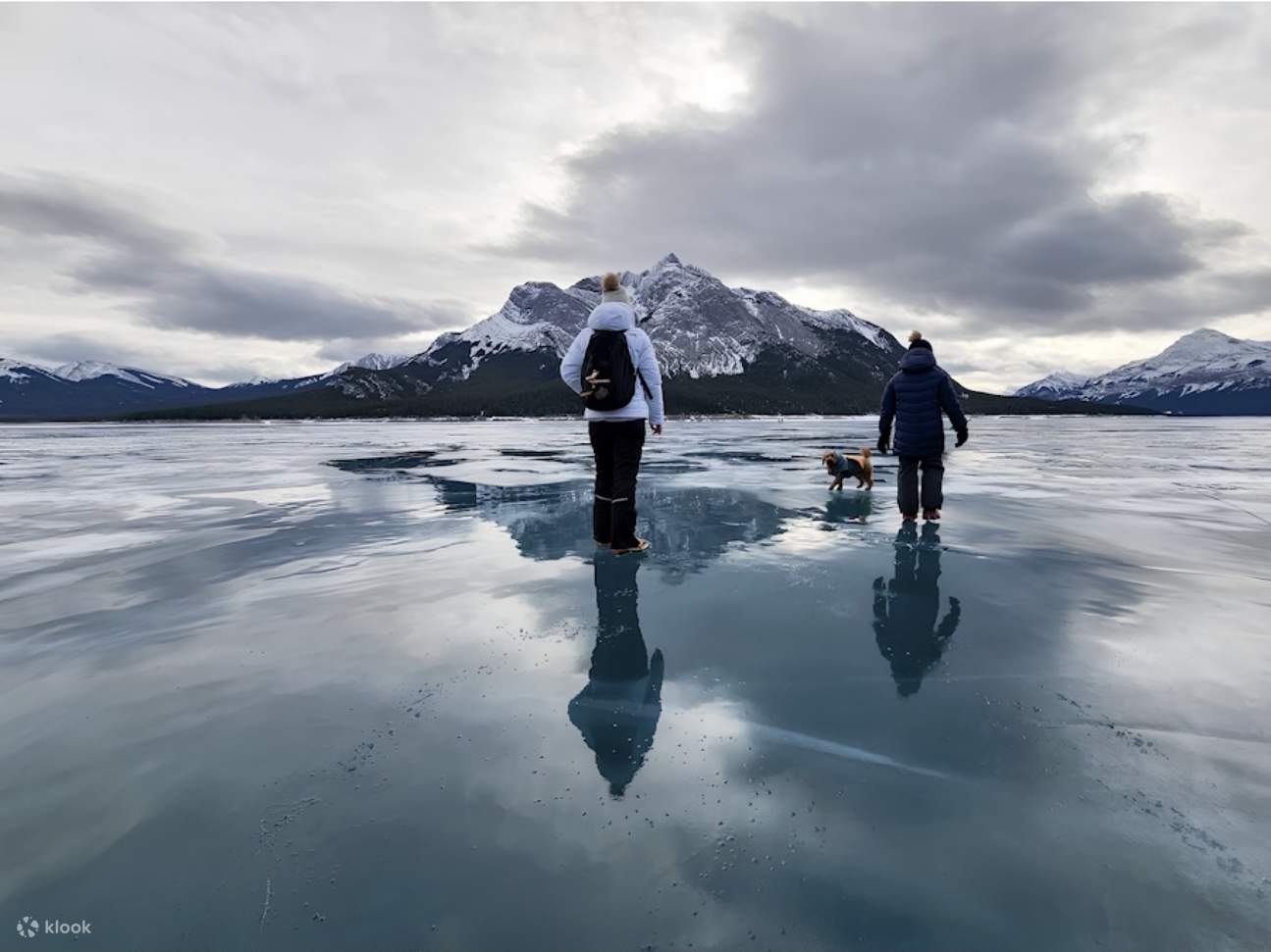 Abraham Lake Ice Bubbles and Peyto Lake Icefield Day Tour - Klook Australia