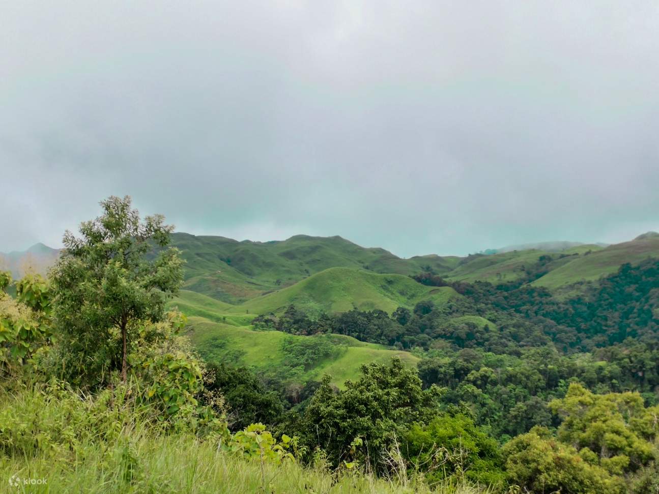 Mt. 387 + Aloha Falls Hiking Tour from Manila - Klook