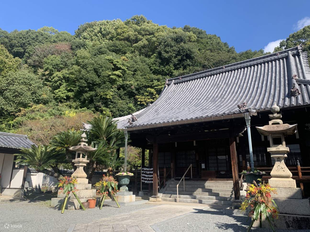 1-Day Tour: Takehara Historical Townscape & Rabbit Island - Klook New ...