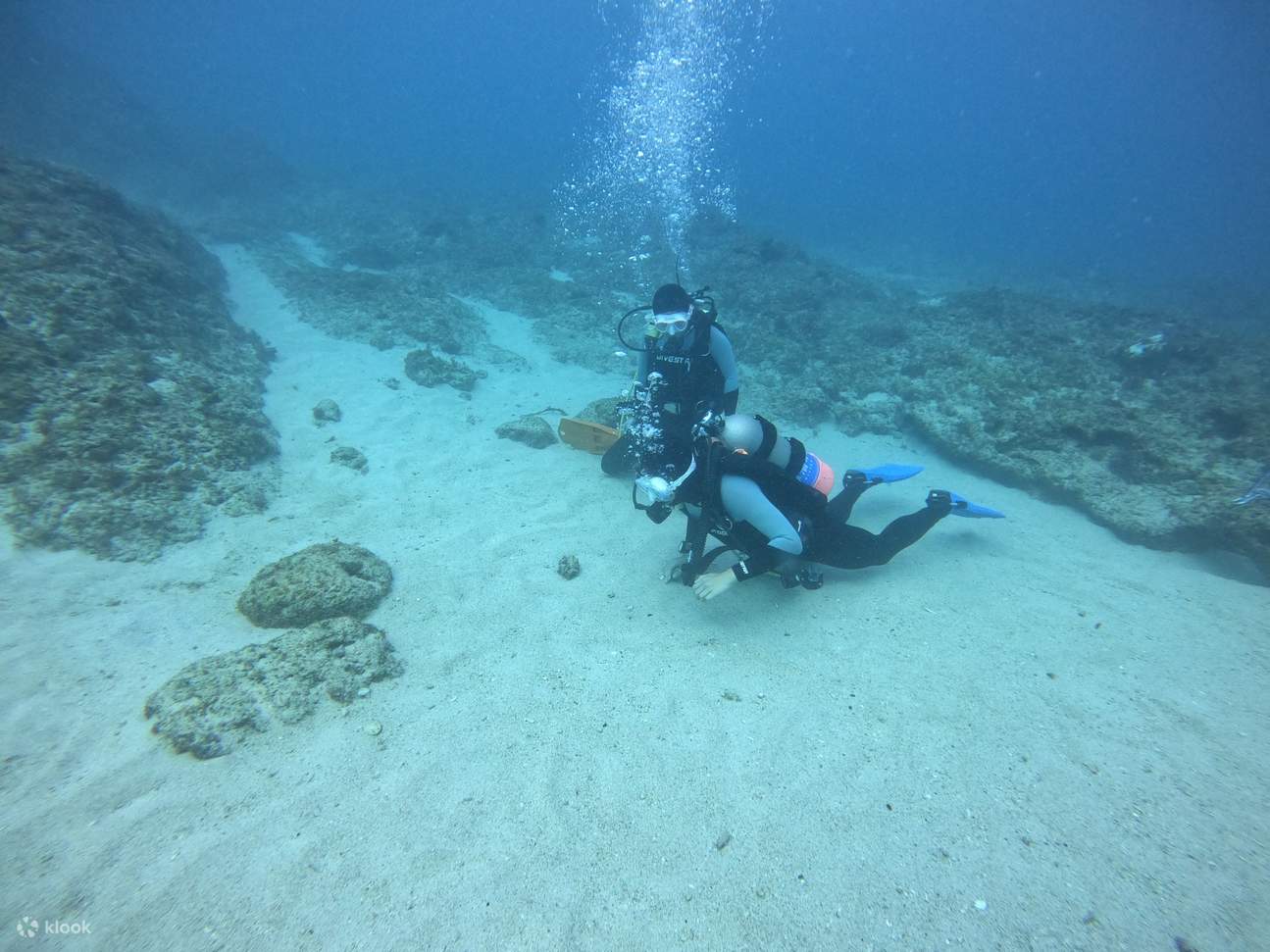 新北貢寮龍洞鬥陣潛水OW・AOW考照・自由潛水考照・潛水體驗 - Klook 客路