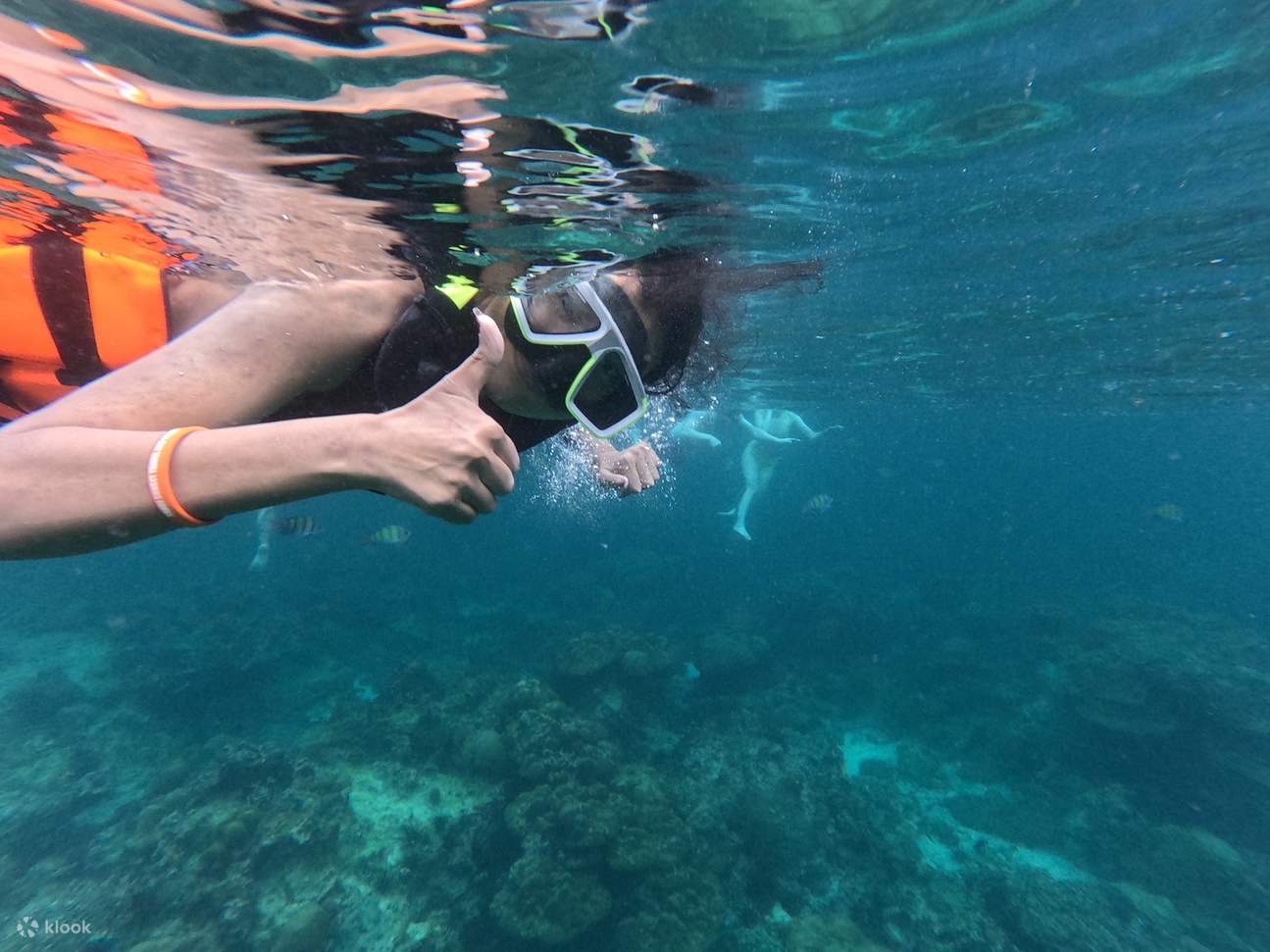 Sunset and Bioluminescent Plankton Snorkel Experience from Phi Phi - Klook