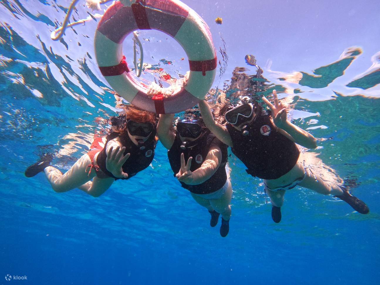 Xiaoliuqiu Snorkeling: Poseidon Ocean Sports Club - Snorkeling ...