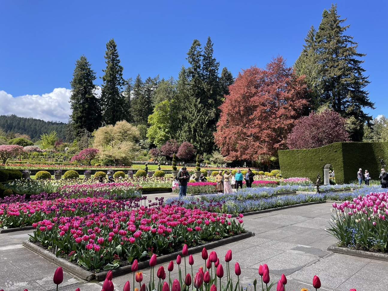 Victoria and Butchart Gardens Tour in Vancouver - Klook
