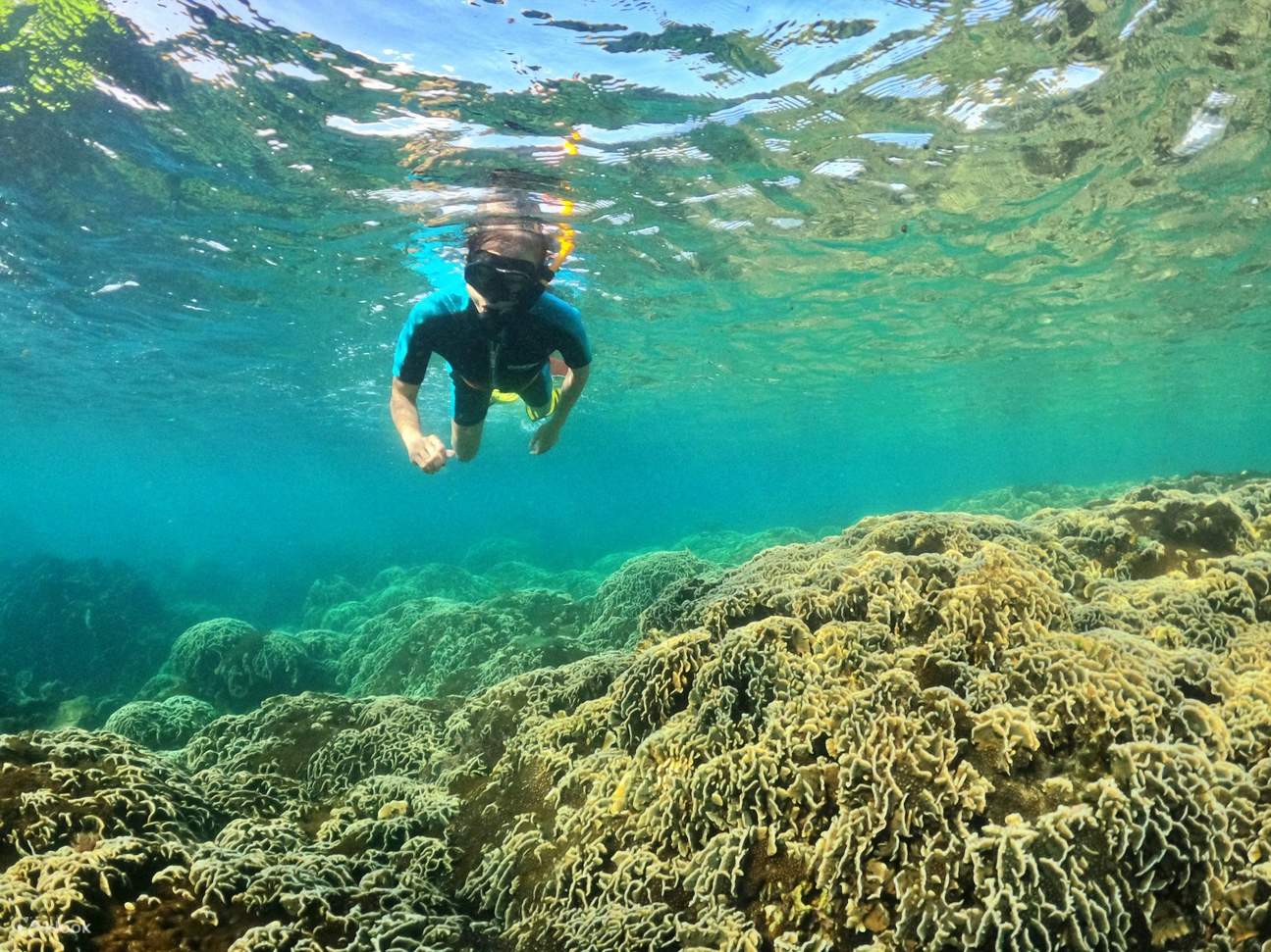 Private Snorkeling Day Tour with Speedboat in Phu Quoc, Vietnam - Klook